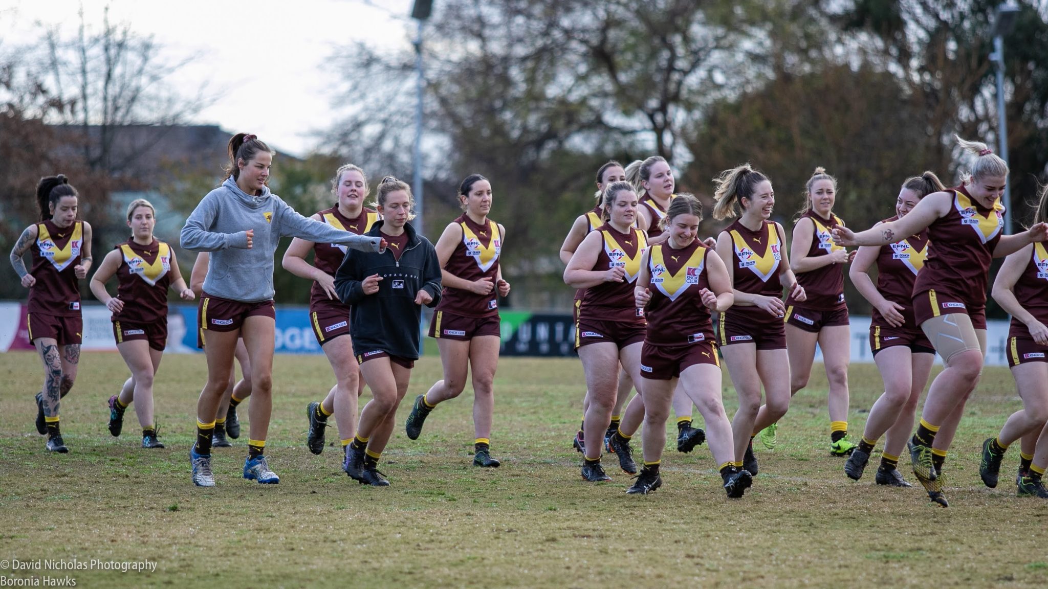 BORONIA HAWKS FOOTBALL NETBALL CLUB INC. – Senior Men's & Women's ...